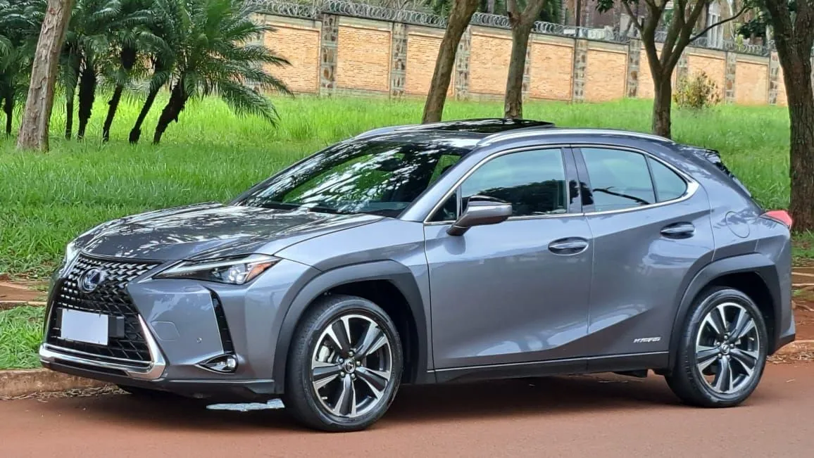 LEXUS Usados e Novos em SP