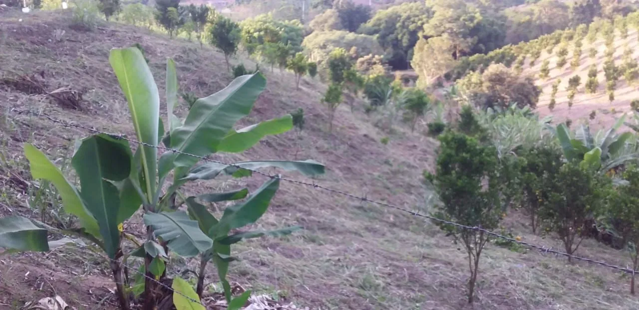 "sitio cerro azul" no Brasil