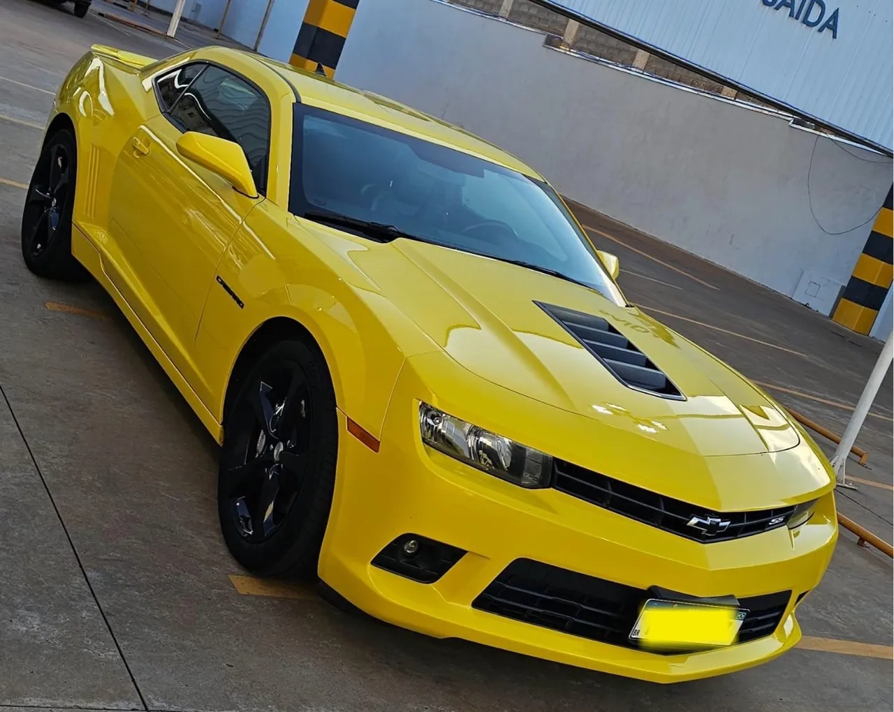 CHEVROLET CAMARO Usados e Novos