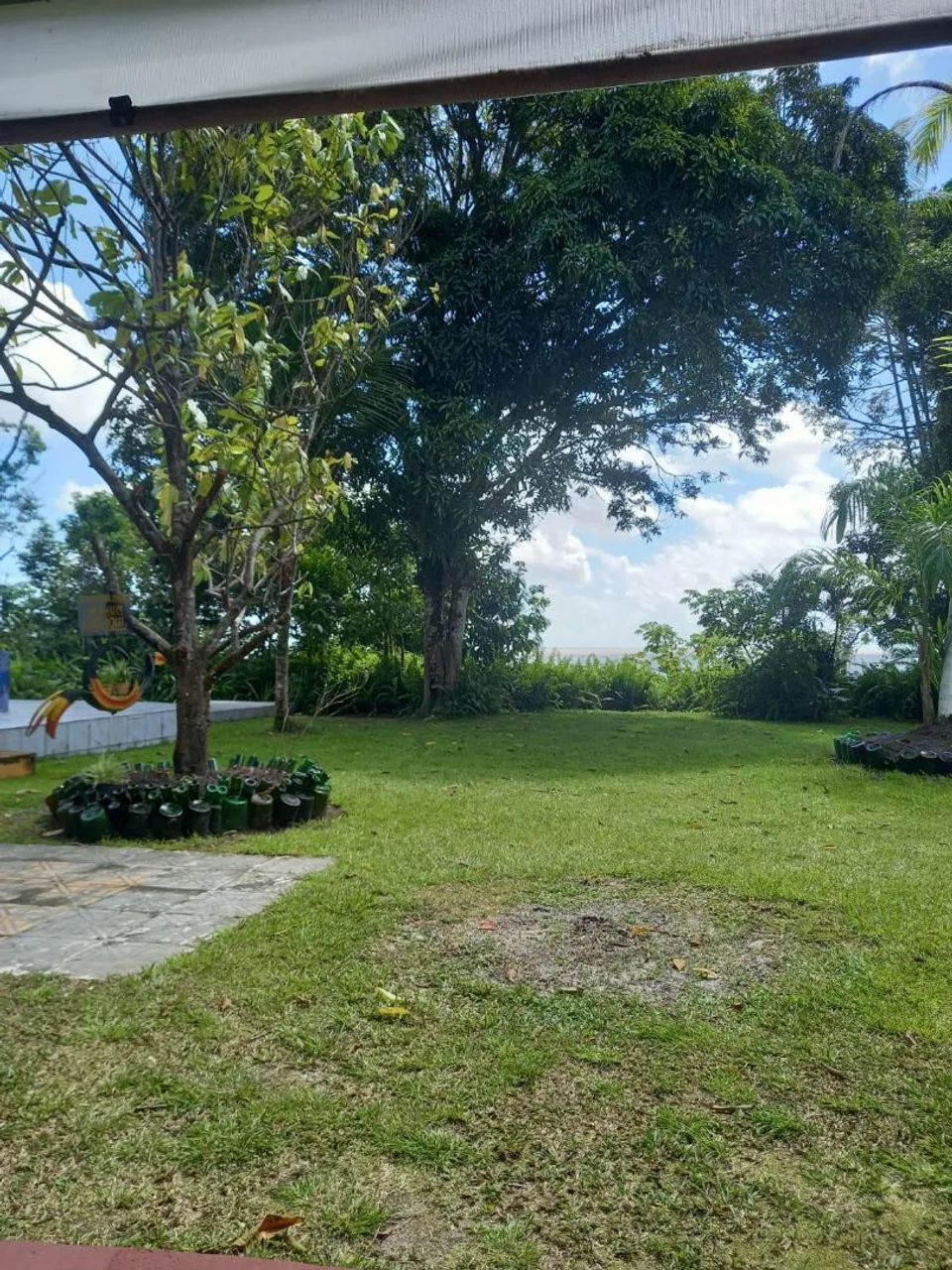 VENDO SÍTIO EM MOSQUEIRO - BAÍA DO SOL - Terrenos, sítios e fazendas - Baía do Sol (Mosqueiro ...