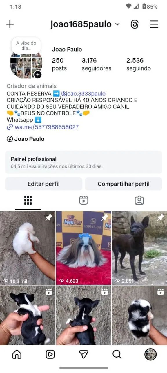 Cocker Spaniel inglês canil - Cachorros - Ribeira, Salvador 1471726130 ...