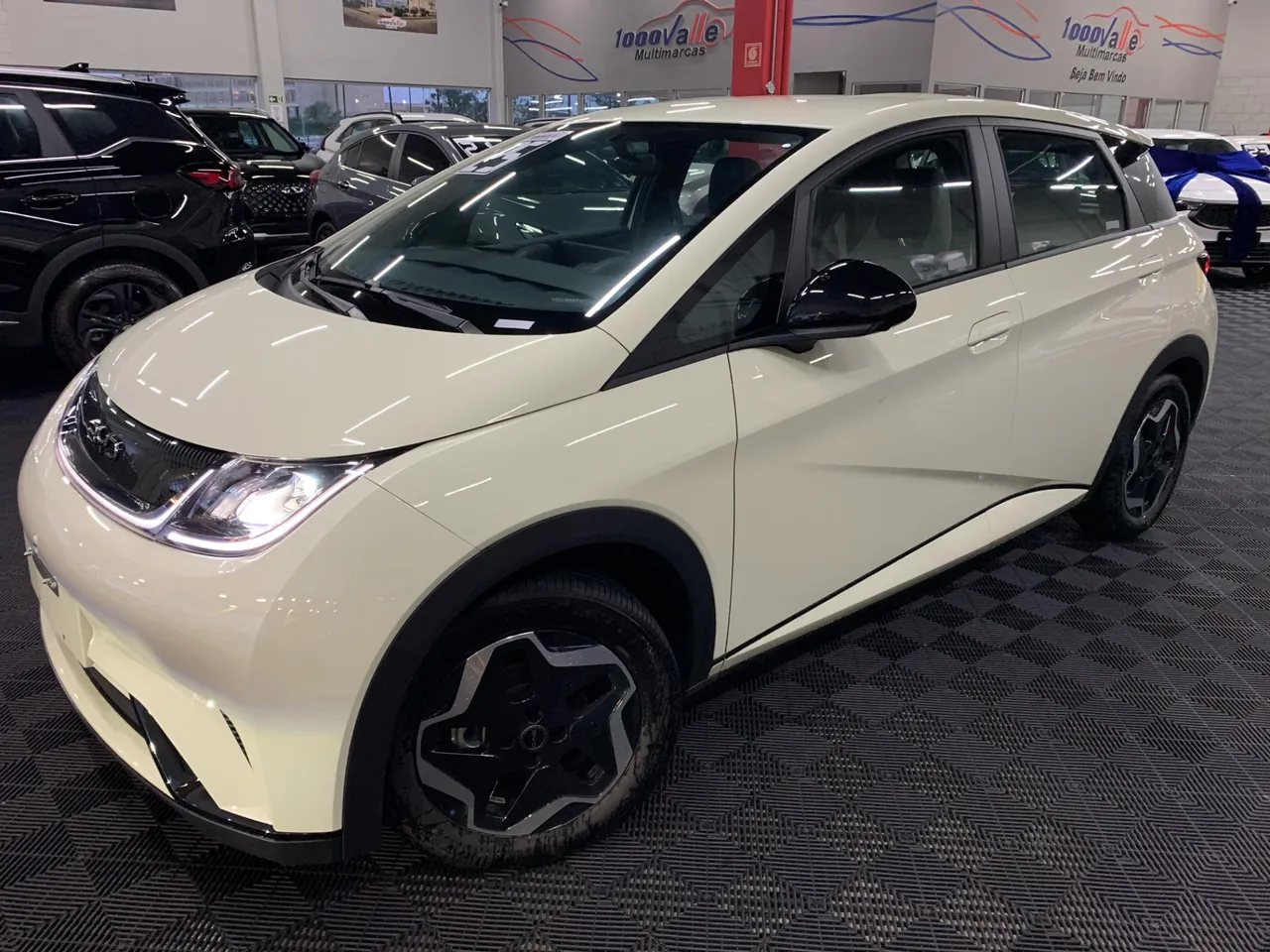 BYD DOLPHIN Usados e Novos