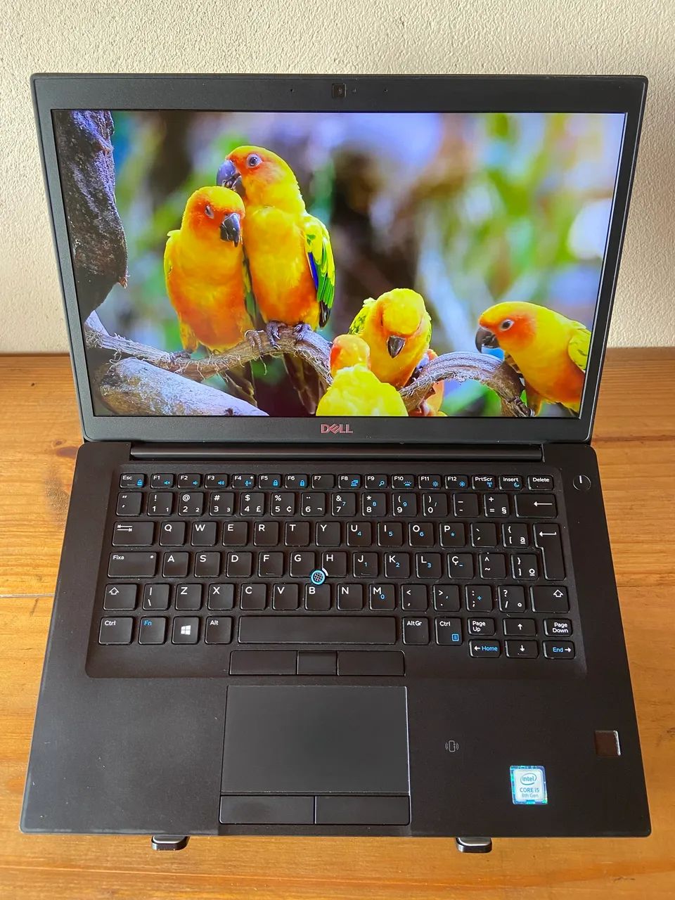 Notebook Dell i5 8ª Geração / UHD Graphics / 16GB RAM / 256GB SSD ...