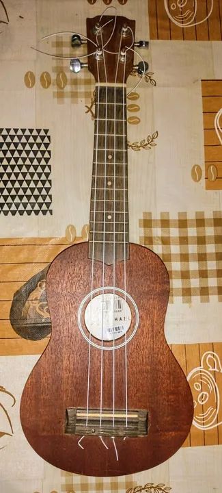 UKULELE ACÚSTICO MICHAEL MK-21 SOPRANO - Instrumentos musicais - Parque ...