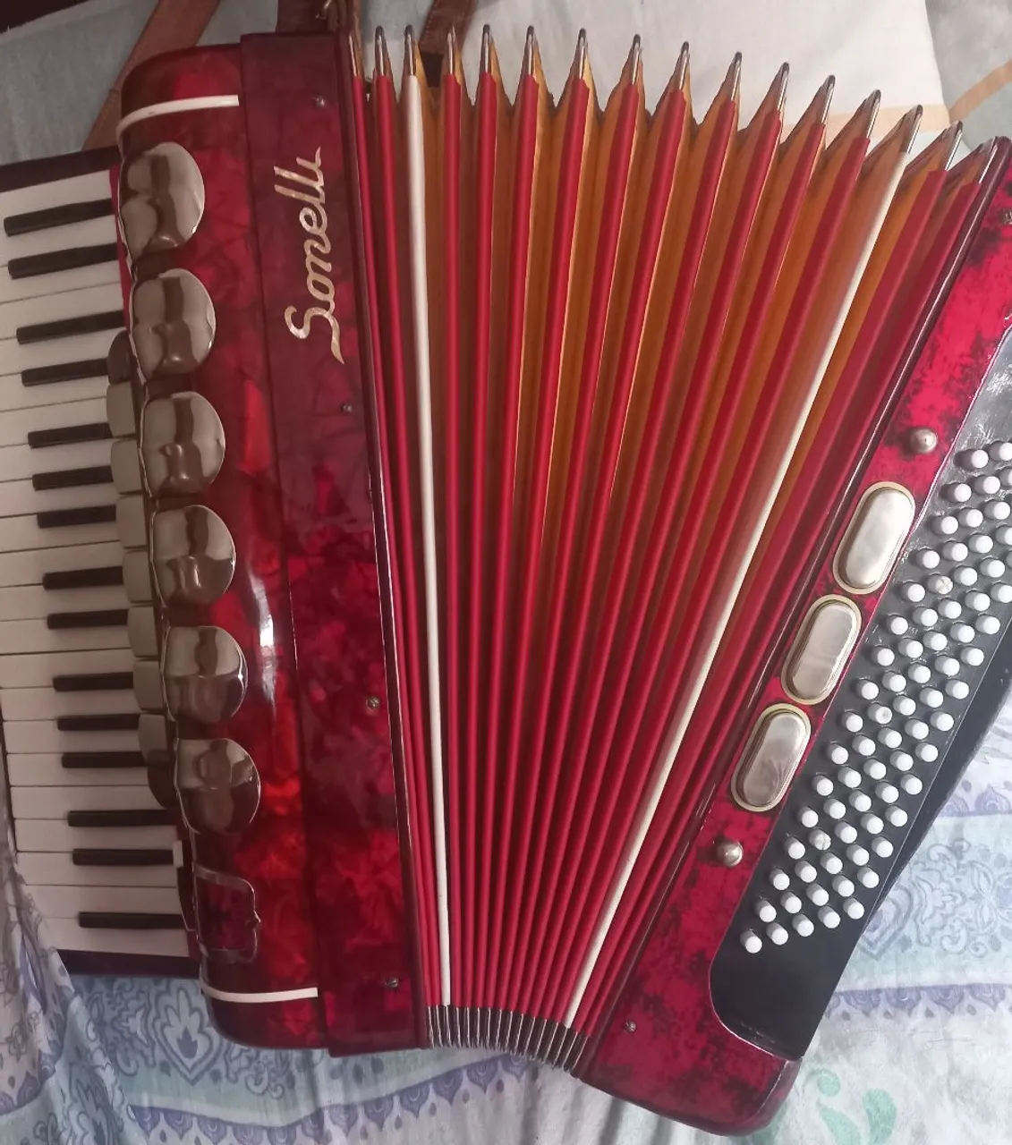 "sanfonas" no Brasil