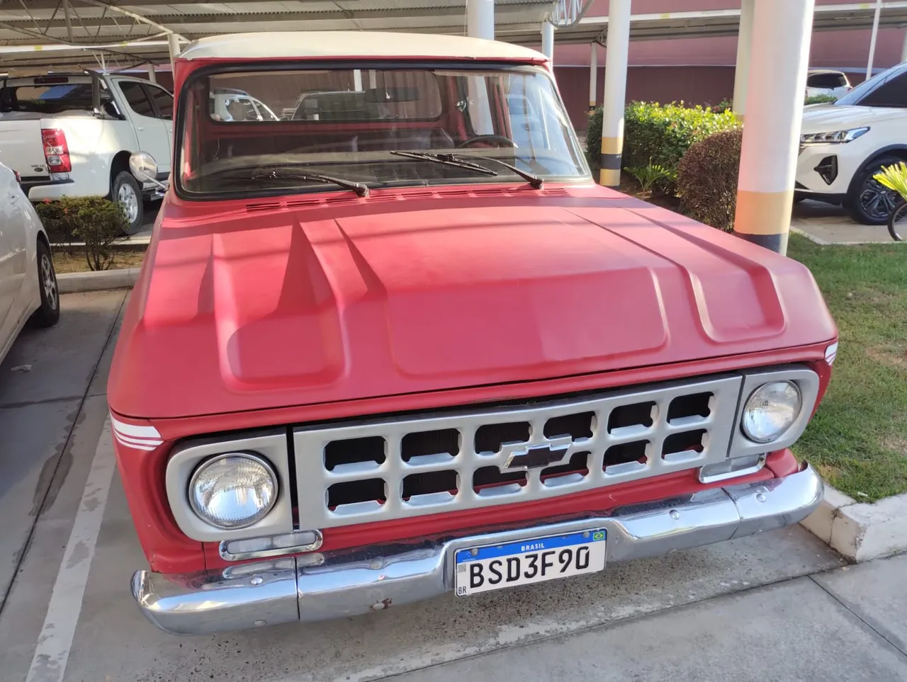 CHEVROLET D-10 Usados e Novos
