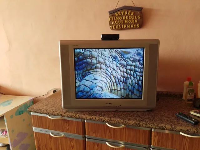 "tv 22 polegadas com conversor digital" no Brasil