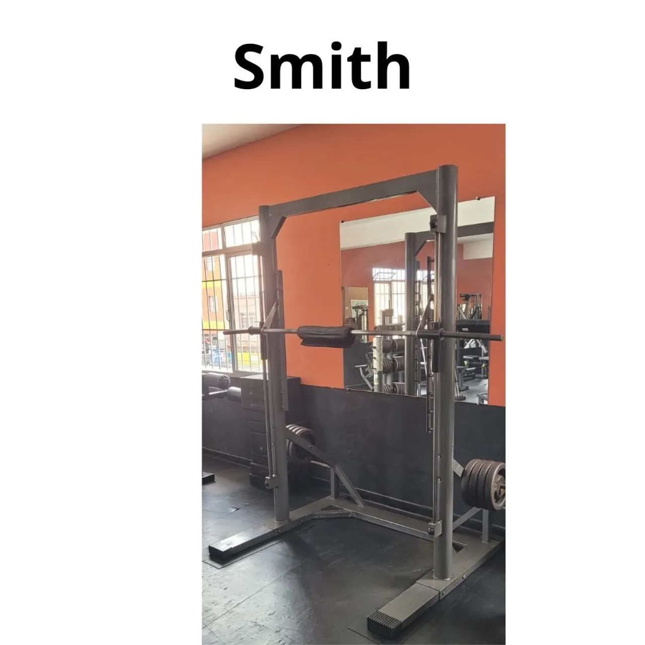 "smith academia" - Academia e Exercícios no Brasil