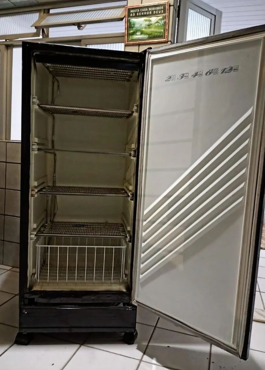 Freezer Vertical e geladeira Electrolux - Geladeiras e Freezers - Dois ...