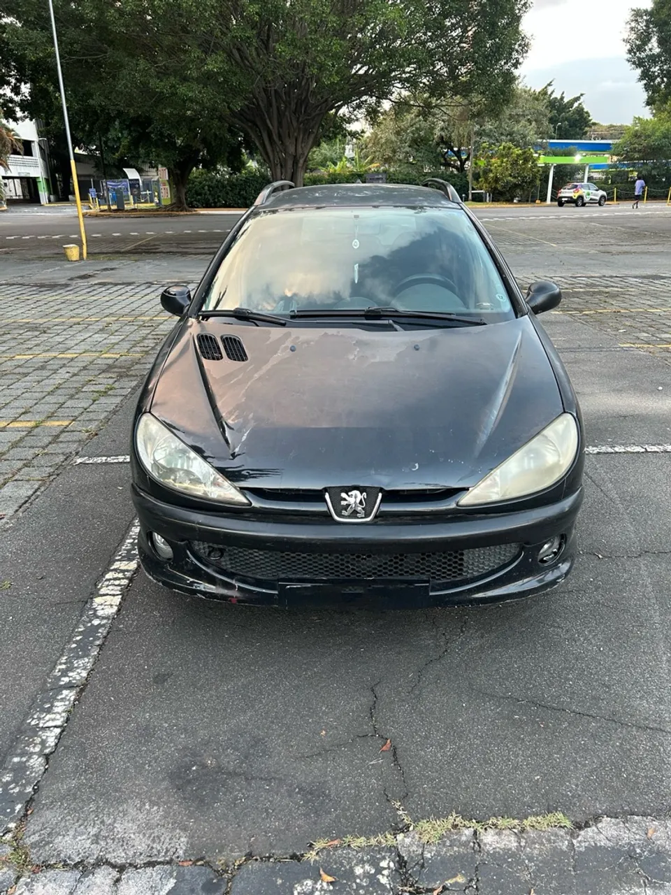 PEUGEOT 206 SW PRESENCE 1.4/ 1.4 FLEX 8V 5P Usados e Novos