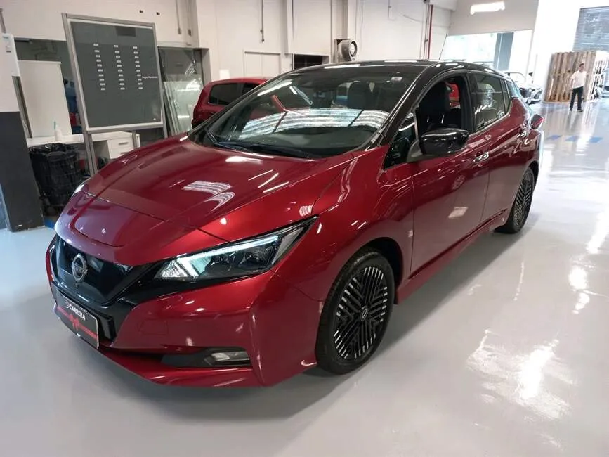 NISSAN LEAF Usados e Novos