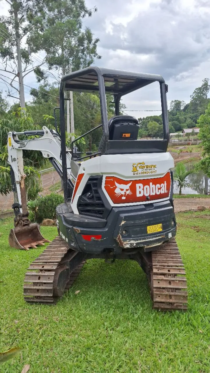 "mini bobcat" no Brasil