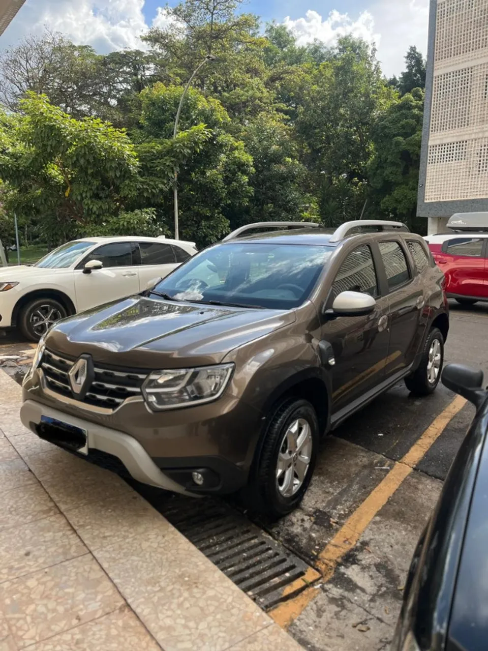 RENAULT DUSTER Usados e Novos