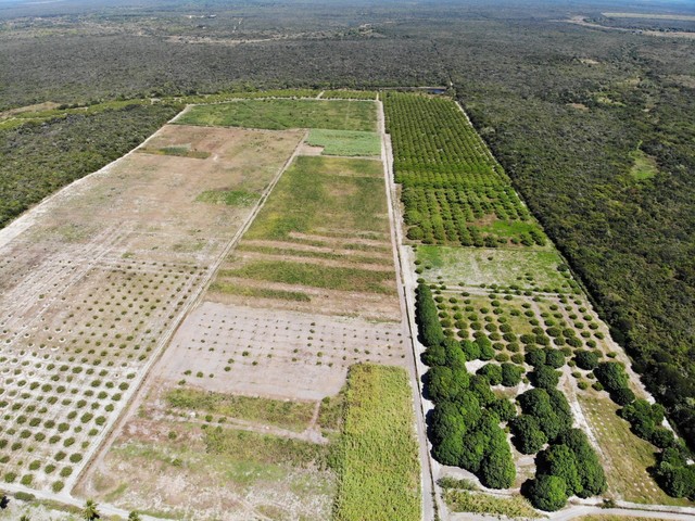 fazenda 800 hectares perfeitas para enegia solar e eóloicas. - Terrenos ...
