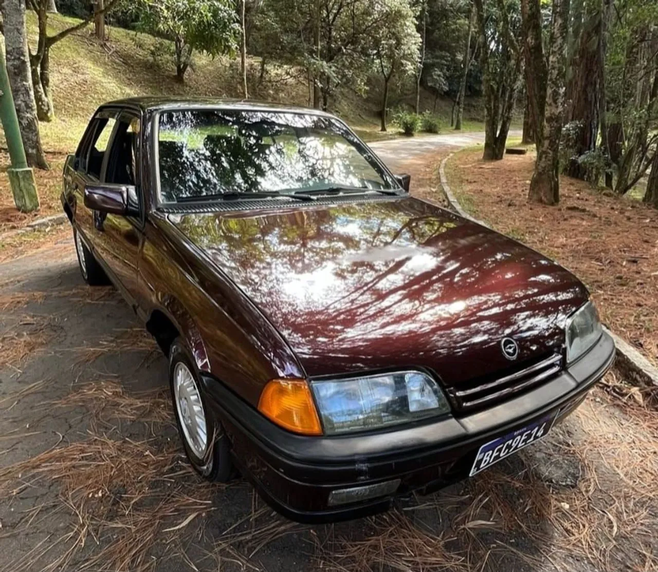 CHEVROLET MONZA 1991 Usados e Novos