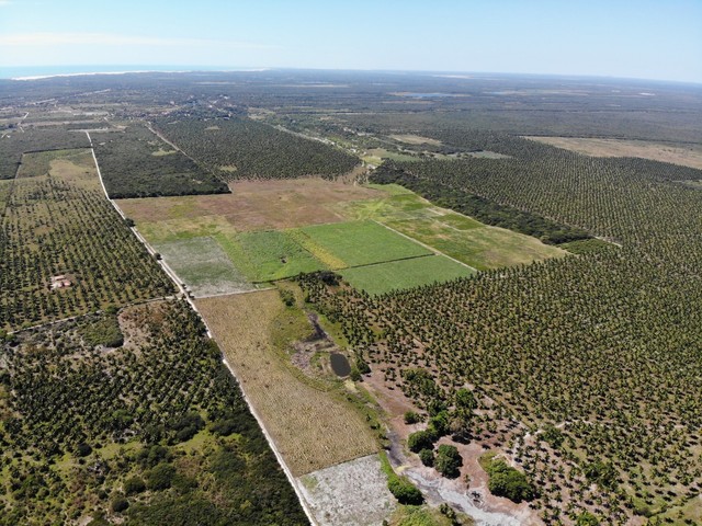 fazenda 800 hectares perfeitas para enegia solar e eóloicas. - Terrenos ...