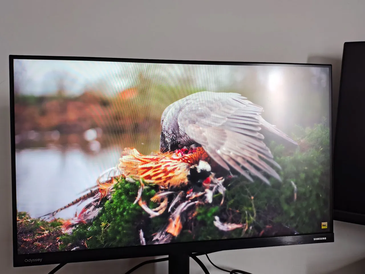 "monitor samsung gamer curvo 144hz 1ms" - Monitores no Brasil