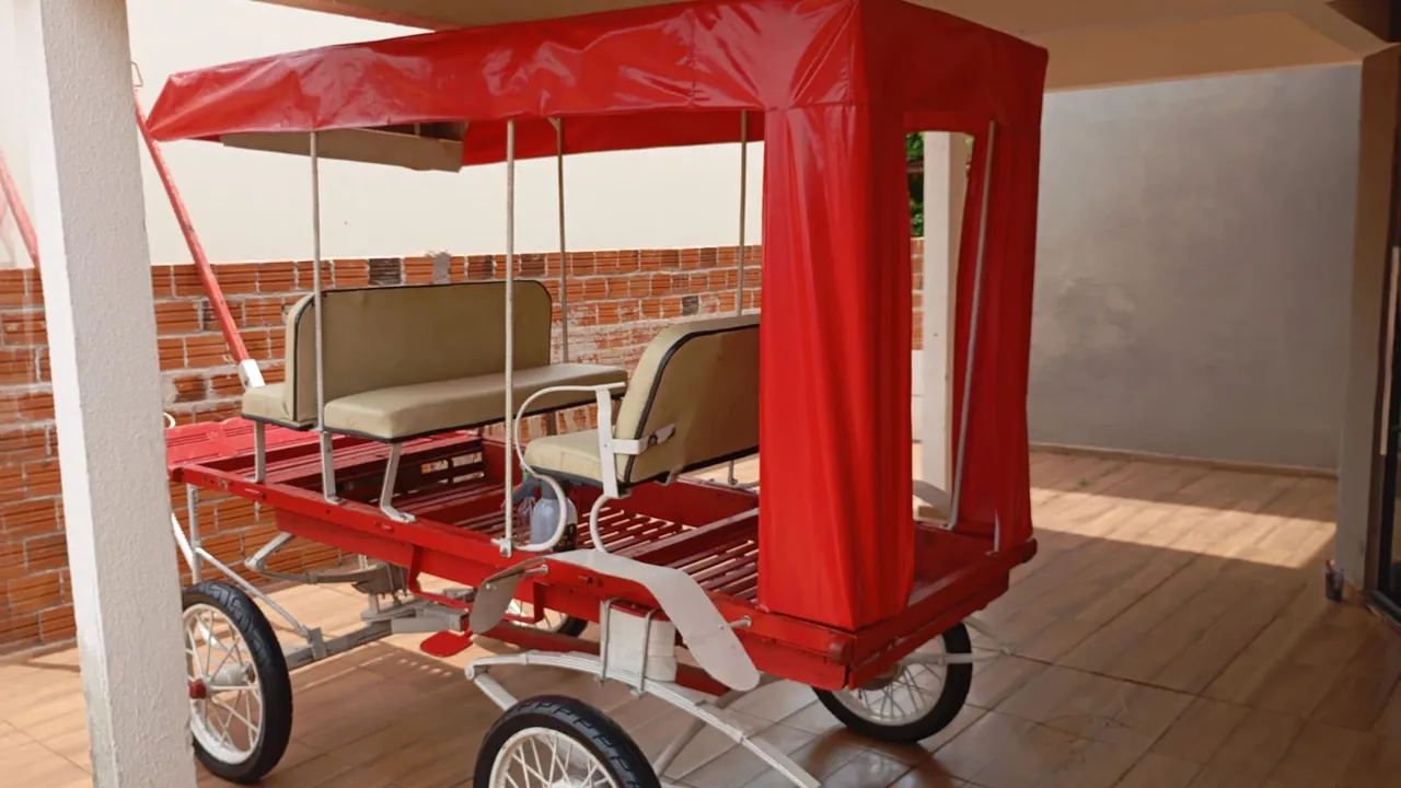 "carroca de animal" no Brasil