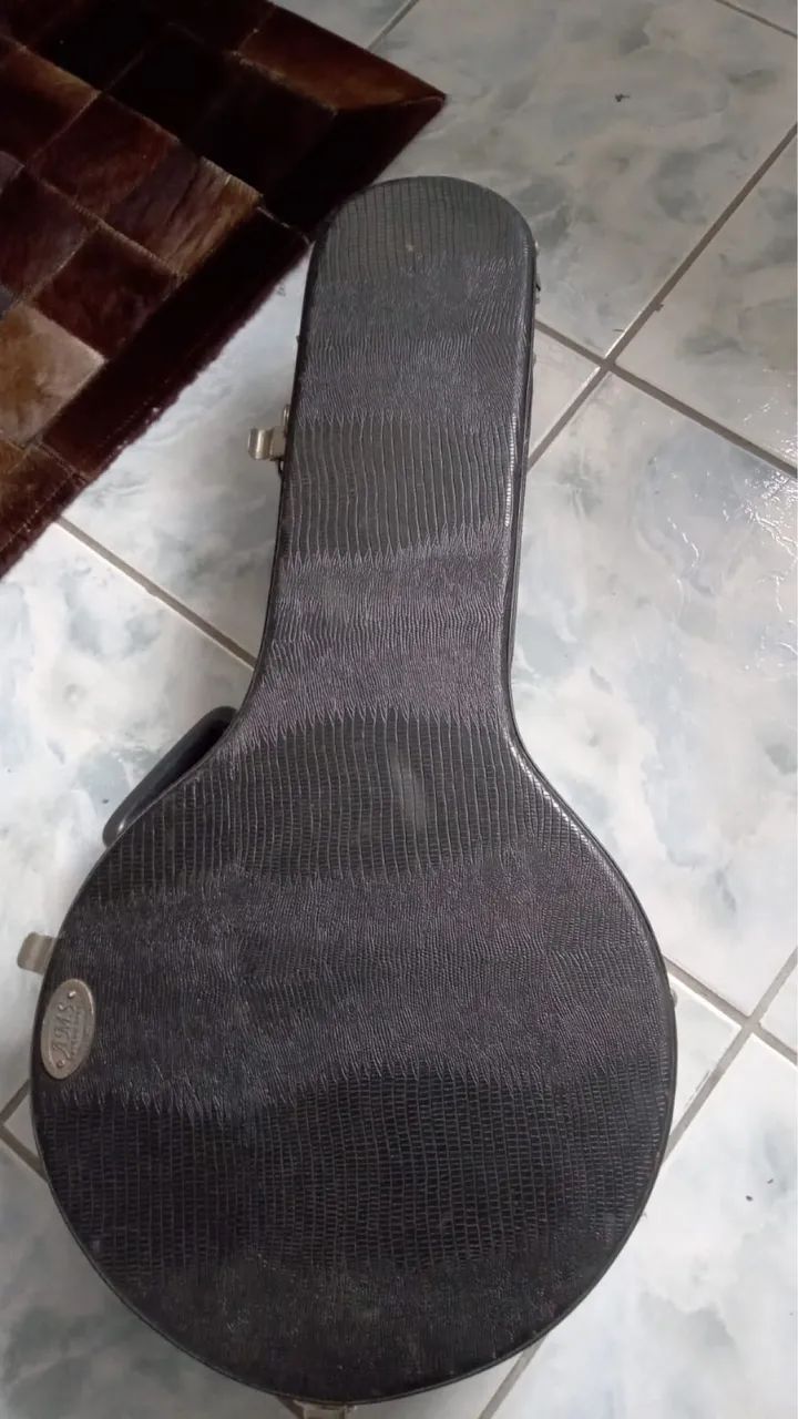 Vendo Banjo DG top de linha - Instrumentos musicais - Centro ...
