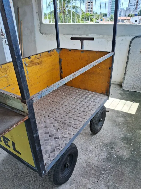 "carroca de animal" no Brasil