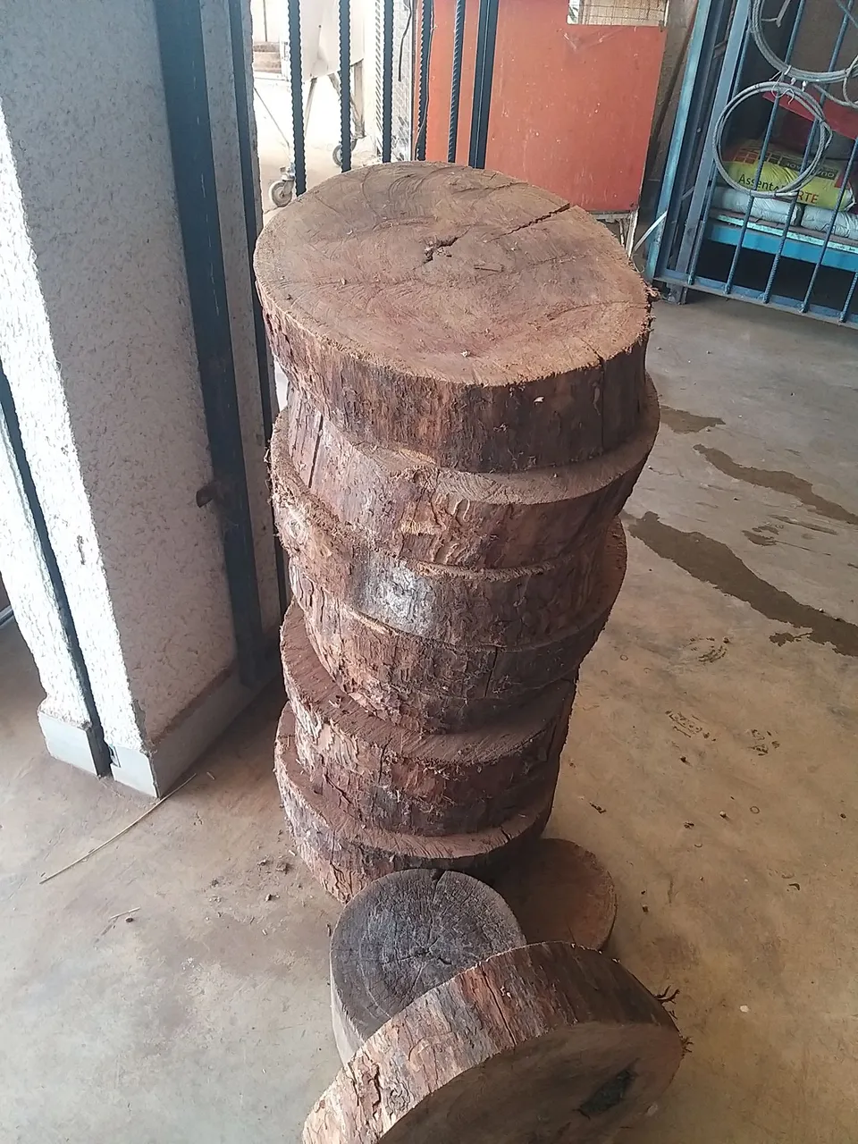 "tora de madeira" no Brasil