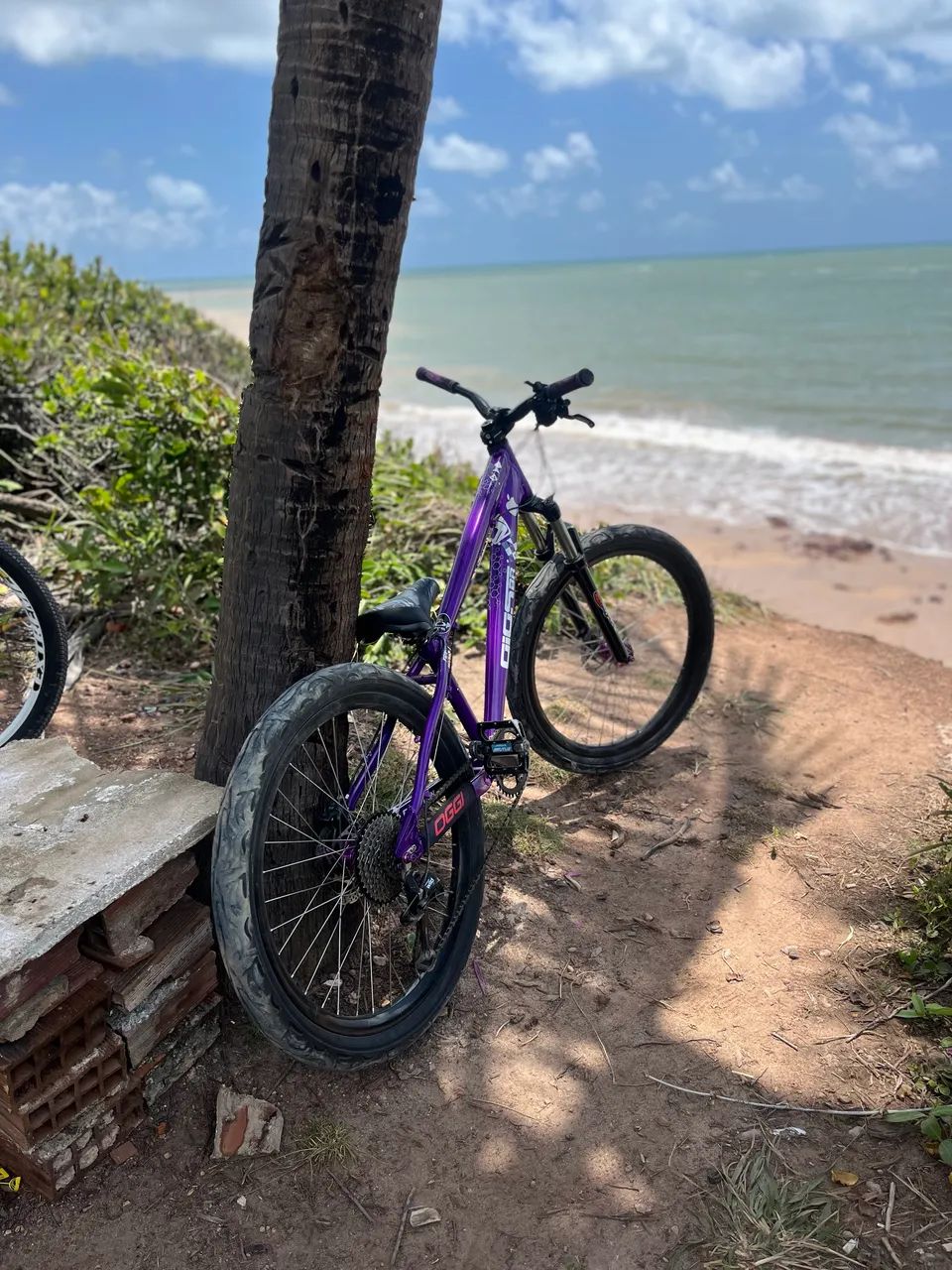BICICLETA GIOS FRX 2025 - Ciclismo - Valentina de Figueiredo, João ...
