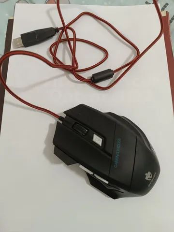 "evolution game" no Brasil