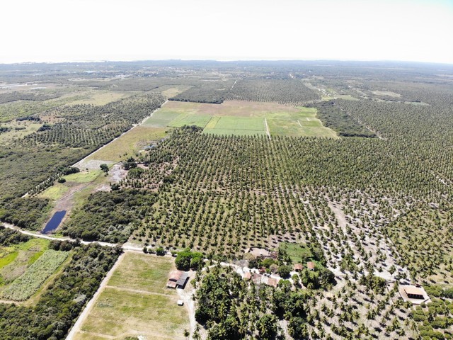 fazenda 800 hectares perfeitas para enegia solar e eóloicas. - Terrenos ...