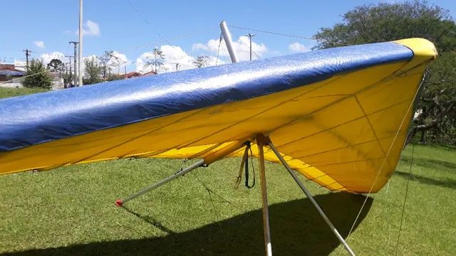 "asa delta" no Brasil