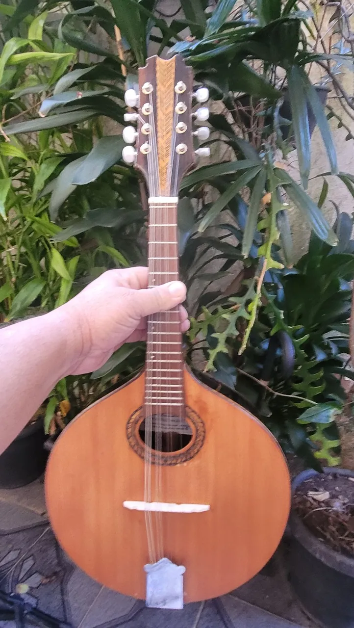 "bandolim" no Brasil