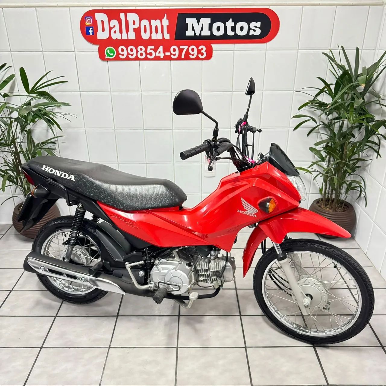 Motos HONDA POP 2022 no Brasil
