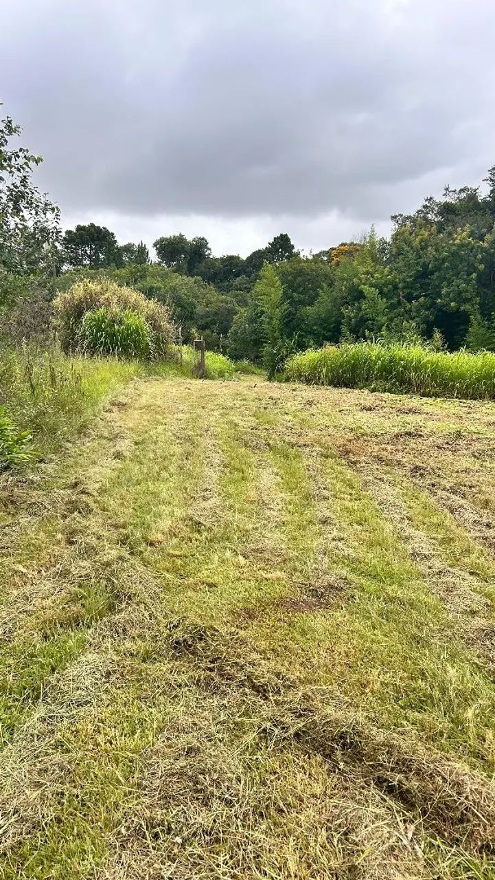 Limpeza de terrenos com trator/roçadeira. - Serviços - Umbará, Curitiba ...