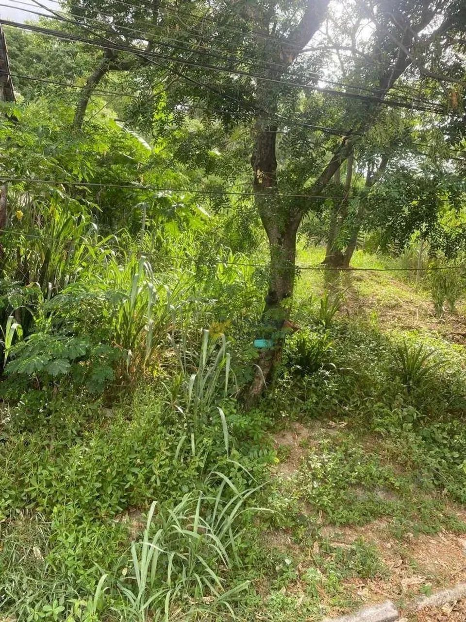 Excelente Terreno à venda em Bangu no condomínio Parque Leopoldina 2 ...