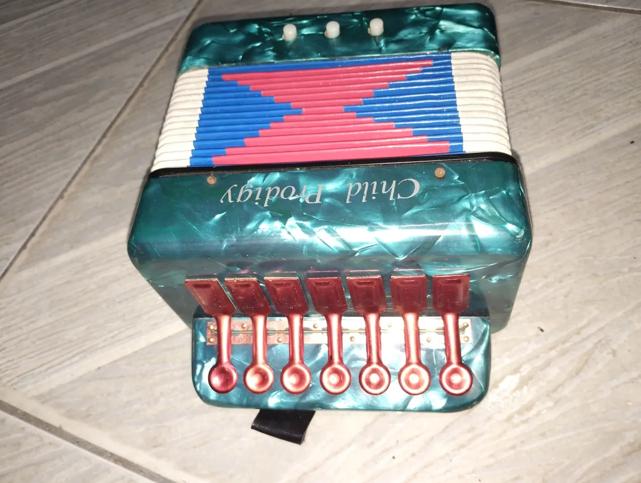 "sanfonas" no Brasil