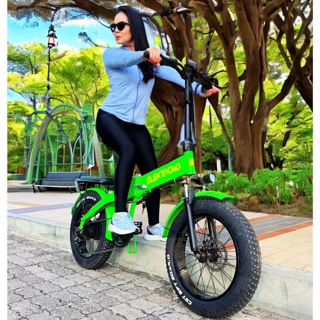 "bike fat eletrica" no Brasil