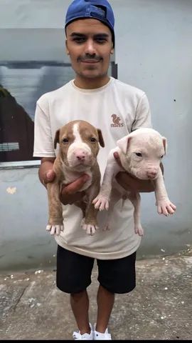 "apbt tradicional" no Brasil