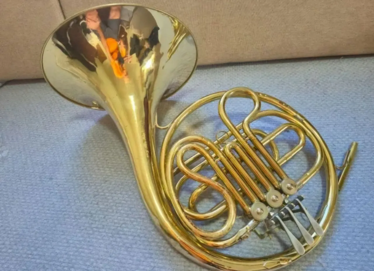 "instrumento trompa" no Brasil
