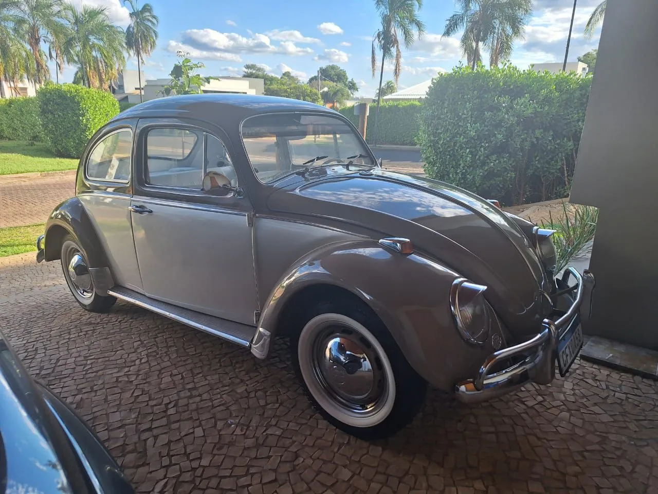 VOLKSWAGEN FUSCA 1968 Usados e Novos