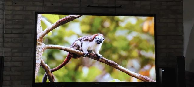 "televisao de 60 polegadas" no Brasil