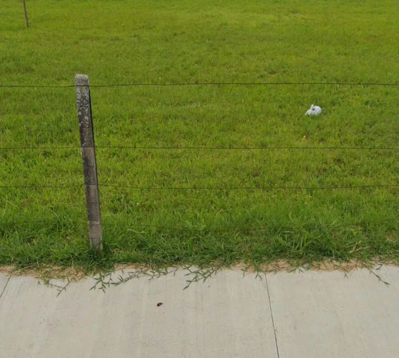 "terreninho" no Brasil