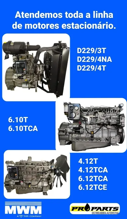 "motor mwm completo" no Brasil