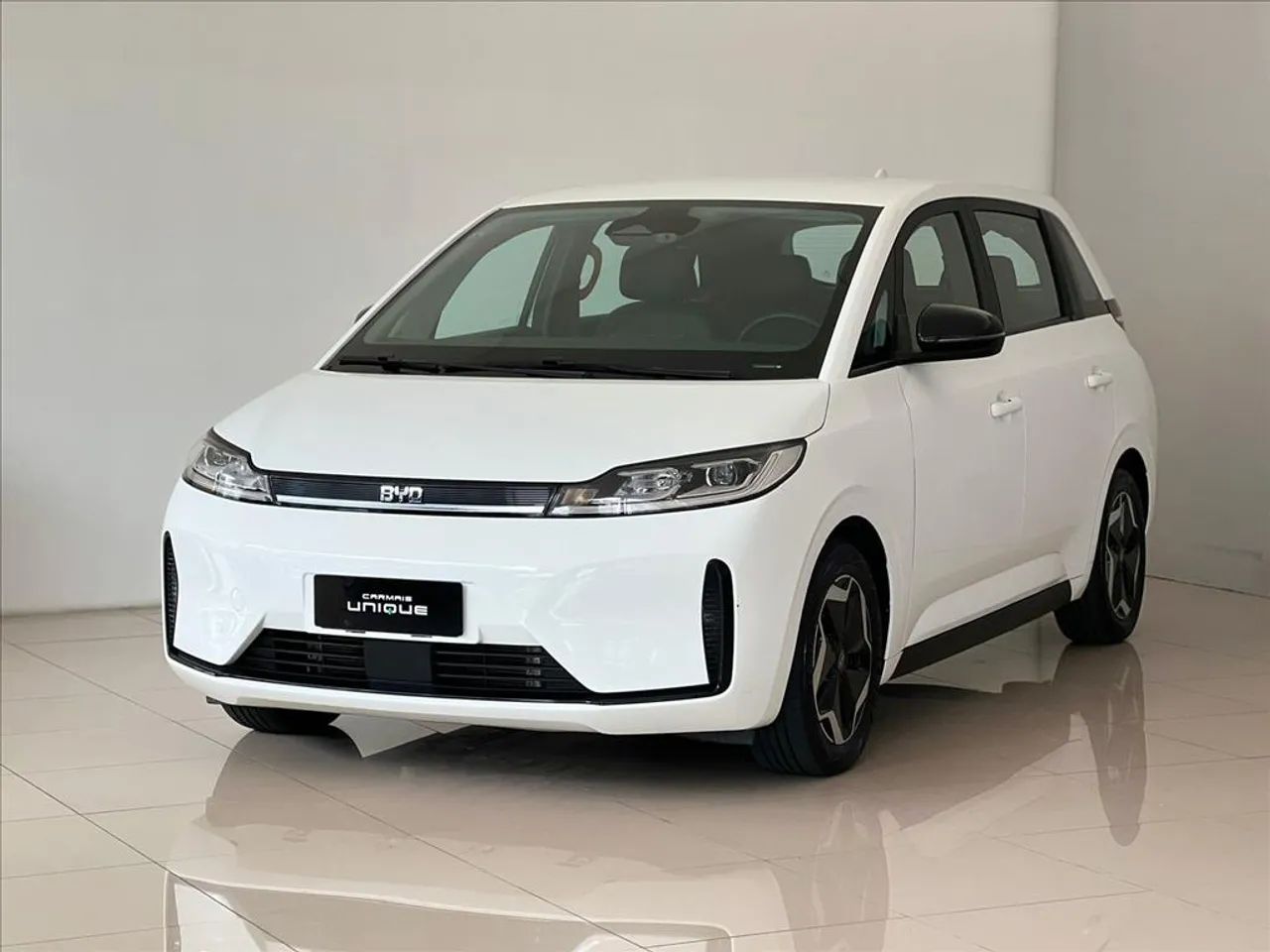 BYD D1 Usados e Novos