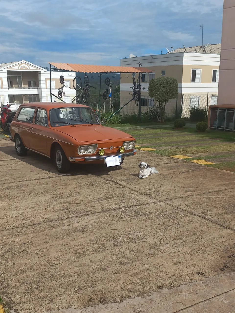 VOLKSWAGEN VARIANT Usados e Novos em São Paulo e região, SP