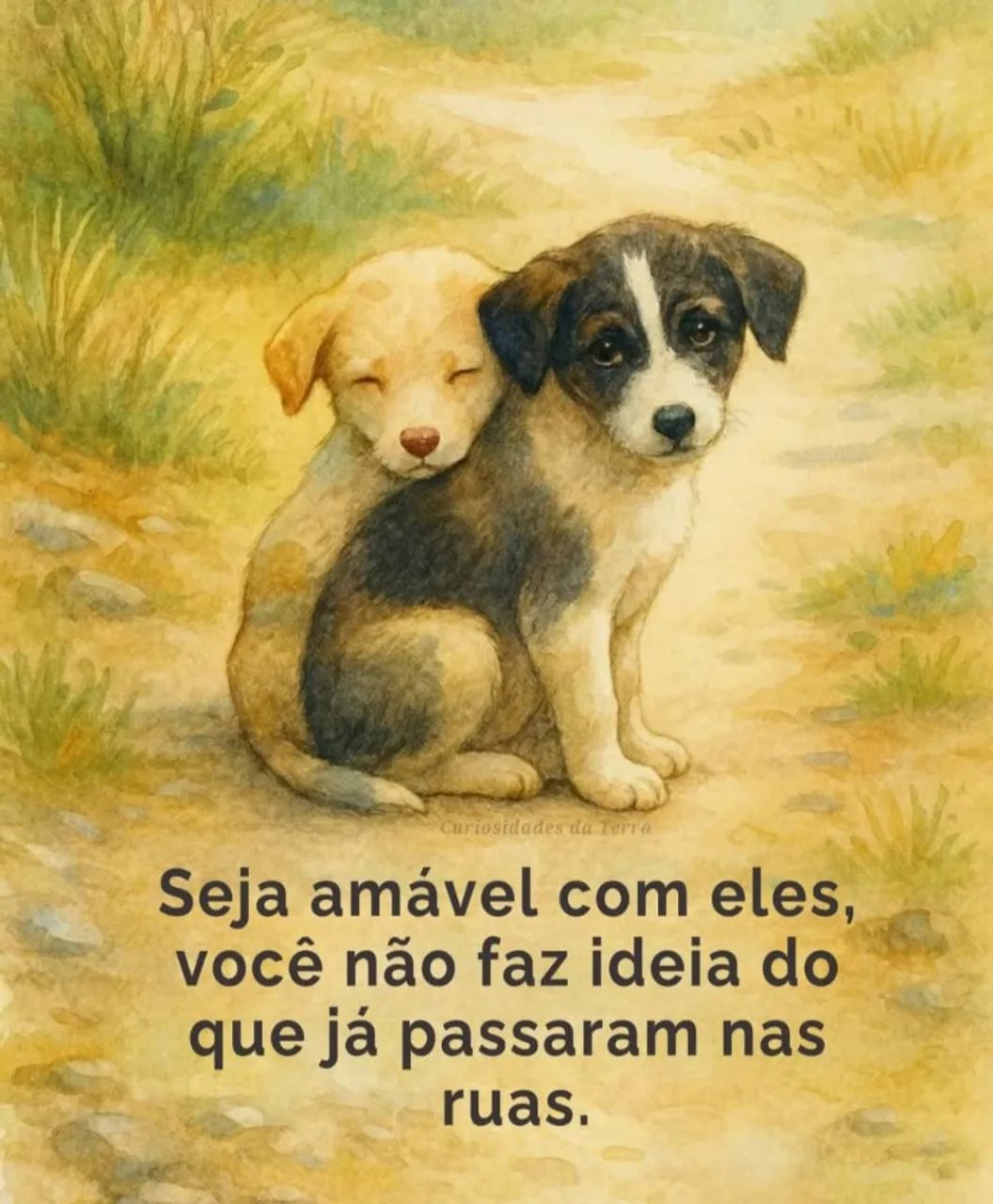 Doação de Pet - Serviços - Japiim, Manaus 1472773382 | OLX