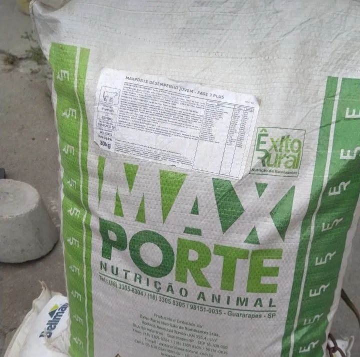 Semente de capim buffell - Produção Rural - Águas Belas 1385419071 | OLX