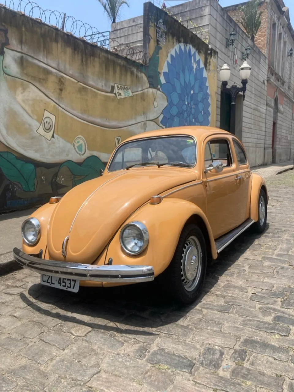 VOLKSWAGEN FUSCA 1978 Usados e Novos