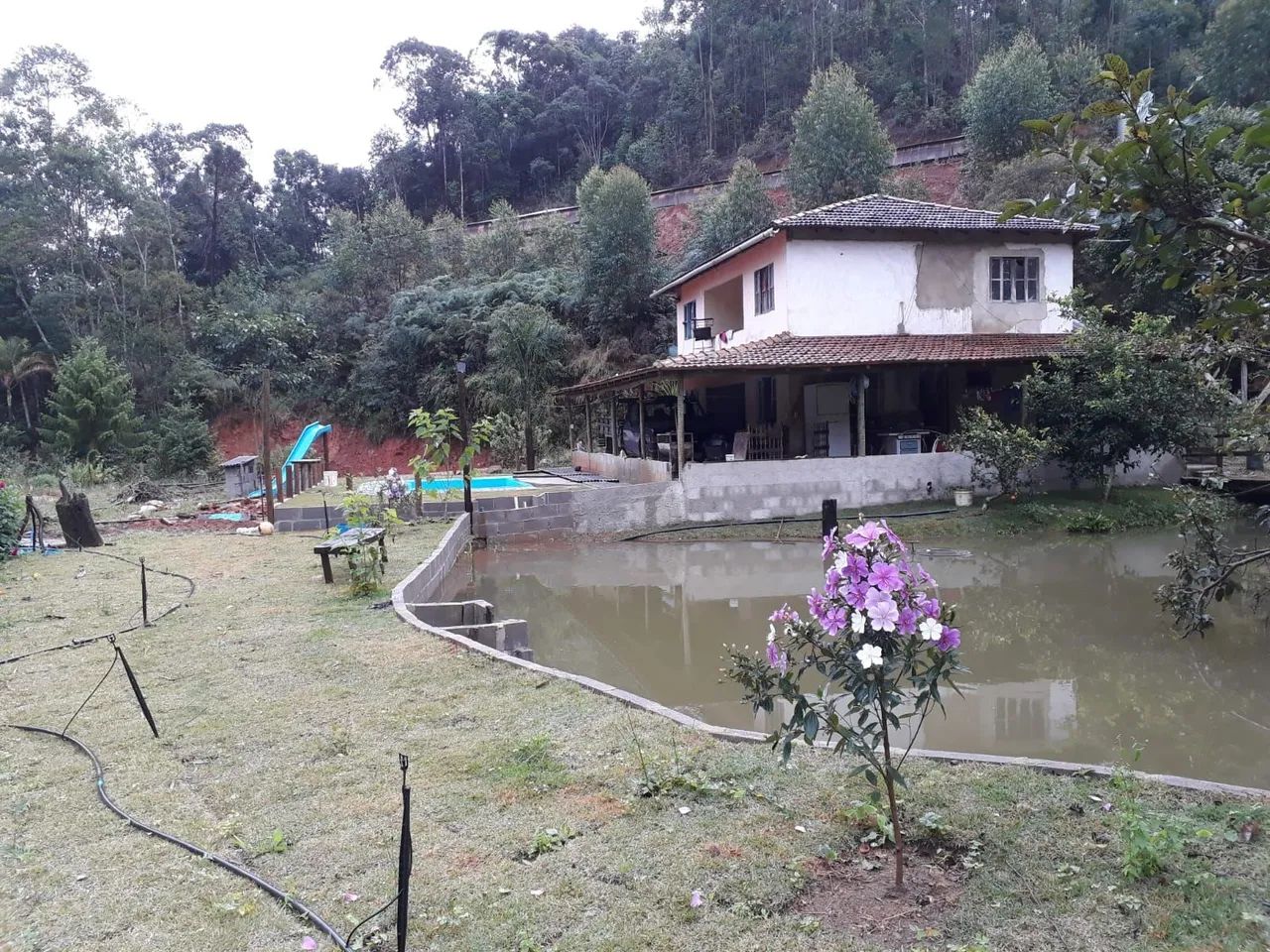 VENTO SÍTIO COMPLETO EM SANTA MARIA DE JETIBÁ 35.000,00m² - Terrenos ...