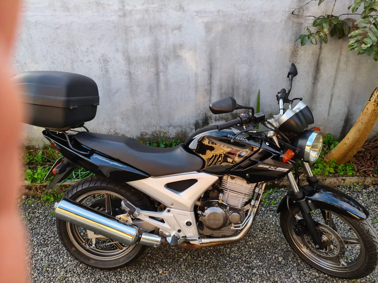 "motos cbx 250" - Motos no Brasil