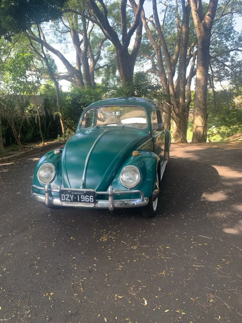 VOLKSWAGEN FUSCA 1966 Usados e Novos