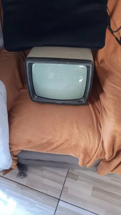 "televisao 12" no Brasil